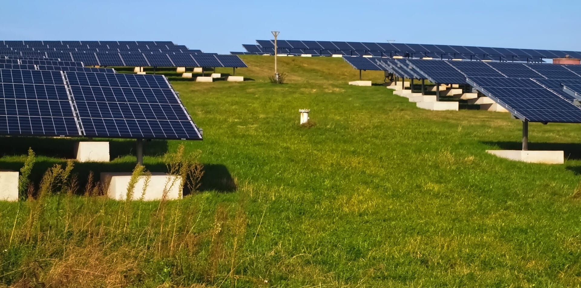 Vill bygga solcellsparker för hundratals miljoner | Lokalt i Dalarna